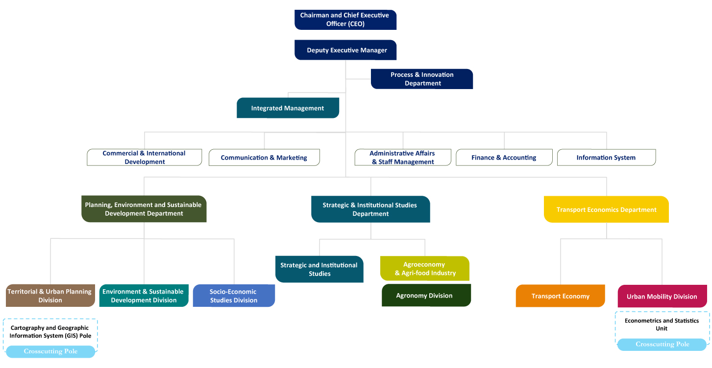 Organizational structure - IDEACONSULT International